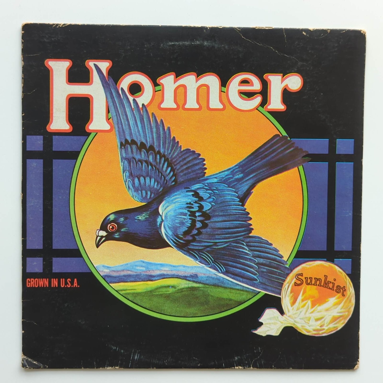 Homer - Grown in U.S.A. - Hippedelic Records